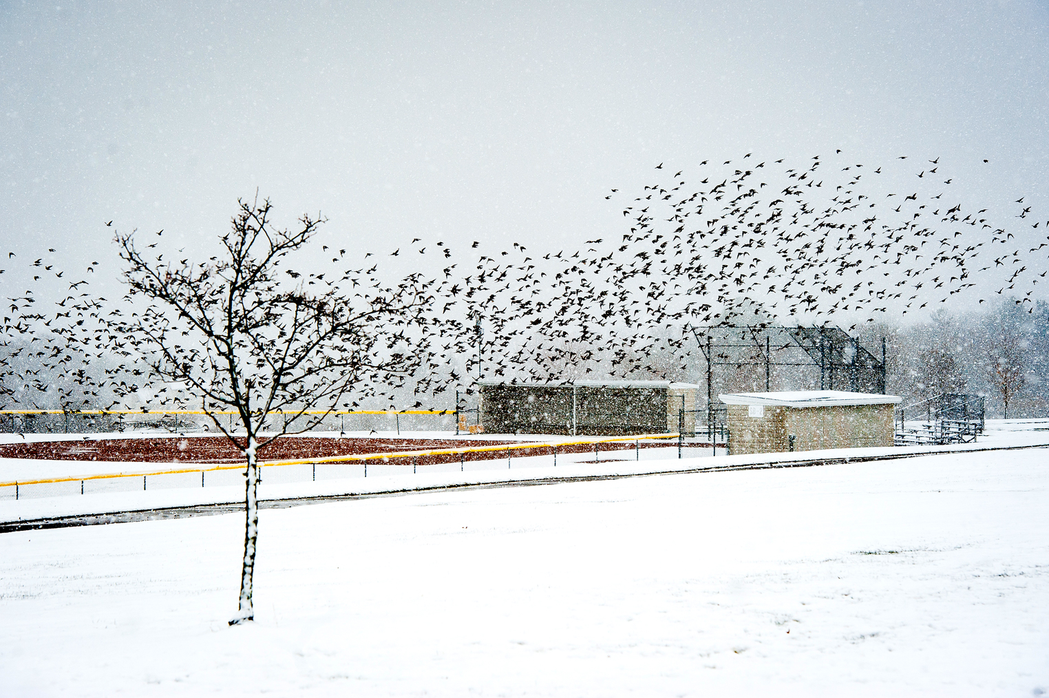 Snow, Unseasonably Cold Temperatures Wreaking Havoc On Area Schedules ...